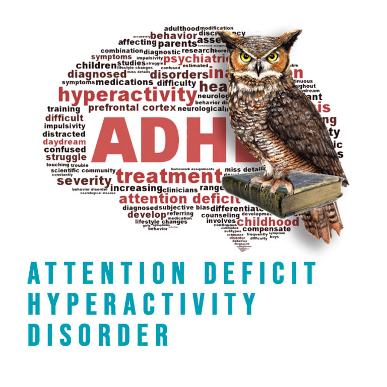 Home - ADHD-BED Annual Conference